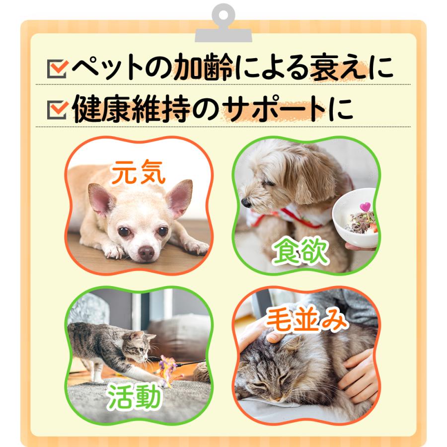 JBP JBPET プラセンタサプリ EQ パウダー 2箱セット 30粒入×2 送料無料 犬 猫 サプリ ペット サプリメント 犬用品 猫用品 毛並 毛艶 爆買 : JBP公式オンライン ...