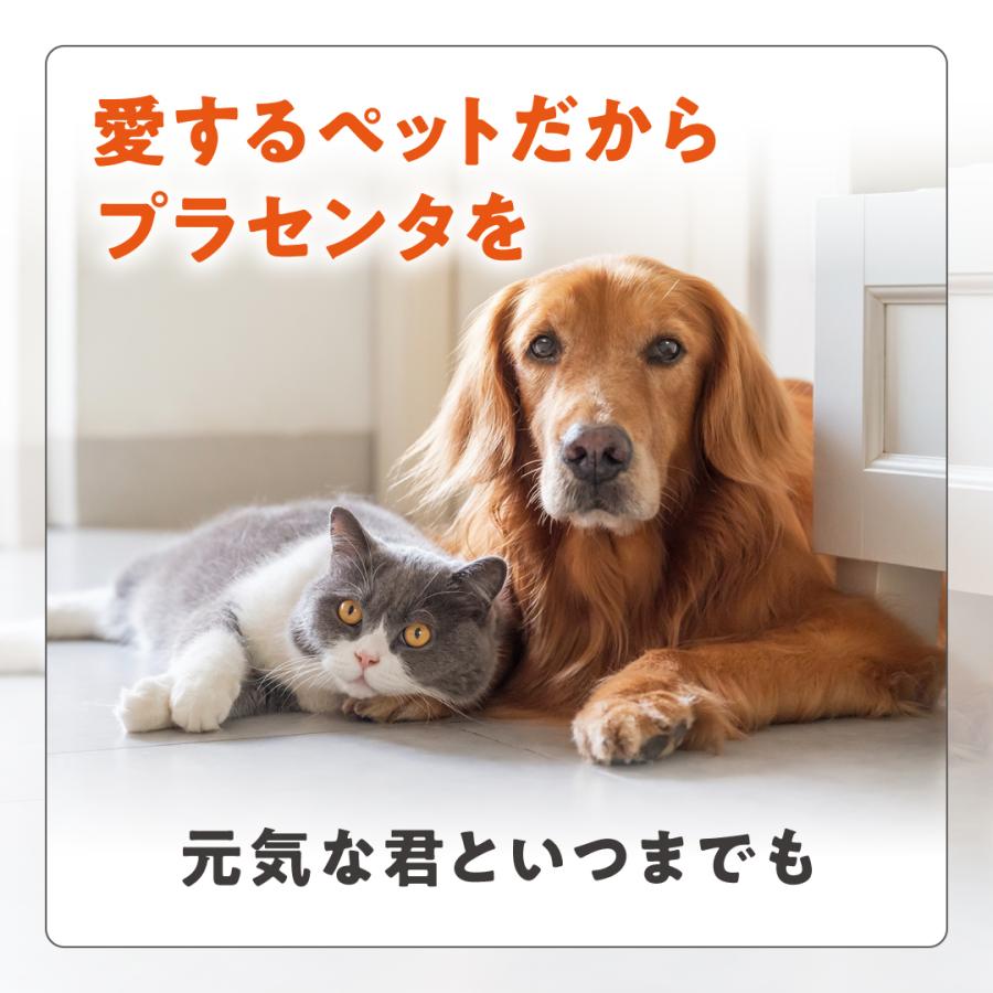 JBPET プラセンタサプリ ペースト for cat 定期コースなら10％OFF : JBP公式オンラインショップ - 通販 - Yahoo!ショッピング