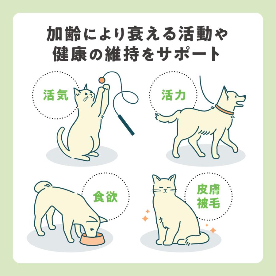 JBPET プラセンタサプリ ペースト for cat 定期コースなら10％OFF : JBP公式オンラインショップ - 通販 - Yahoo!ショッピング