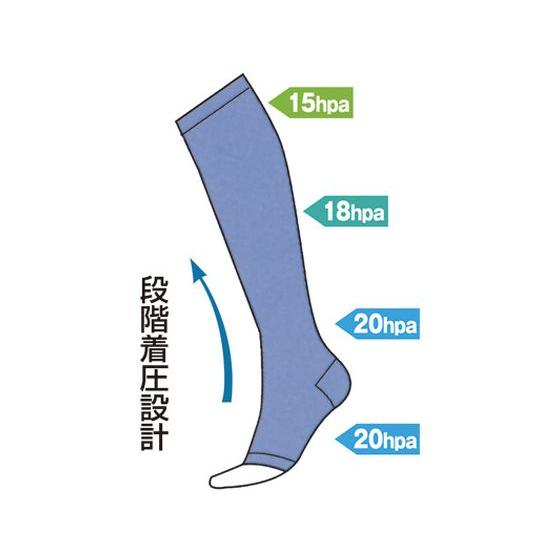 【お取り寄せ】神戸生絲 着圧機能サポーター 2枚入 ブラウン 8090 : b625dw : JetPrice - 通販 - Yahoo!ショッピング