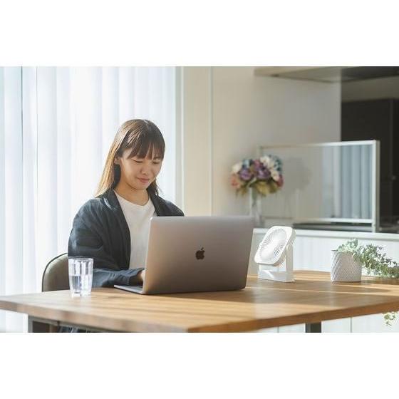 トップランド コンパクトFAN ホワイト SF-DF25-WT : JetPrice - 通販 - Yahoo!ショッピング