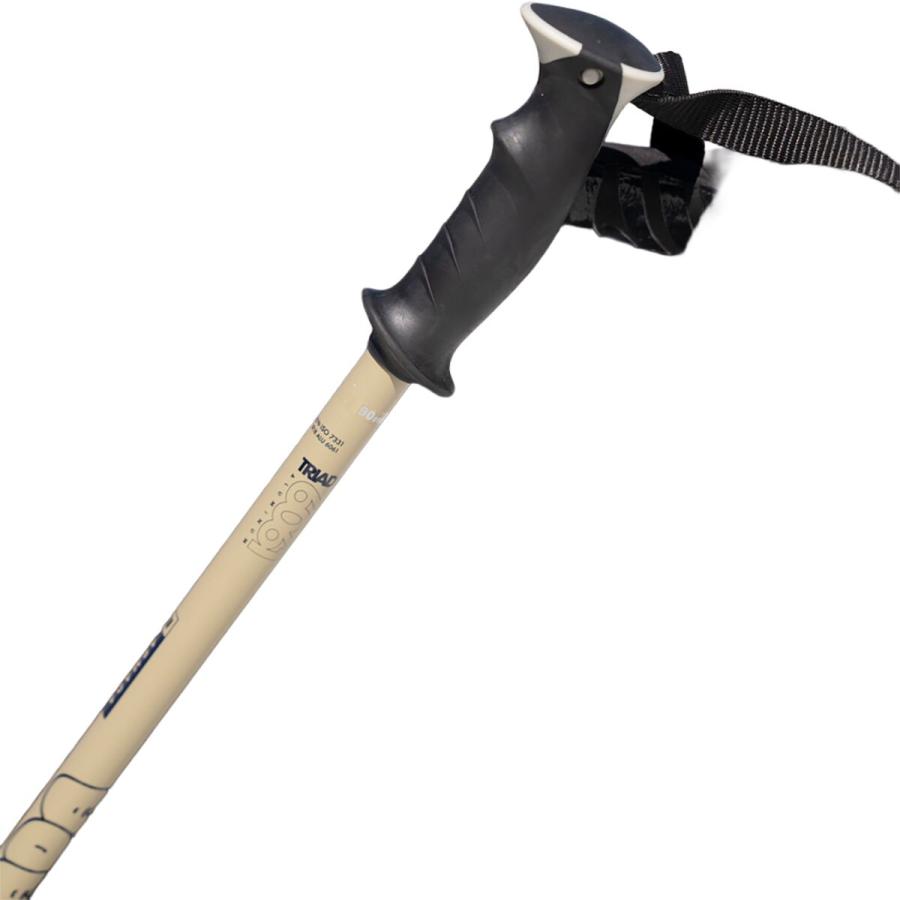 ARMADA（アルマダ） (取寄) トライアド スキー ポール - Armada Triad