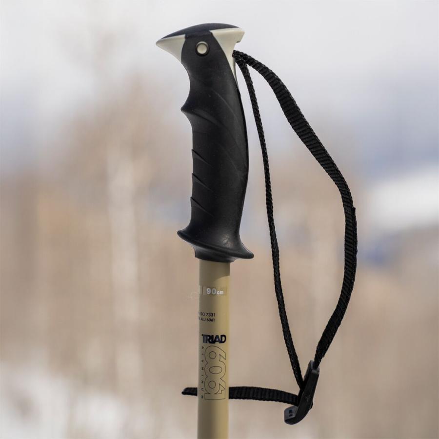 ARMADA（アルマダ） (取寄) トライアド スキー ポール - Armada Triad