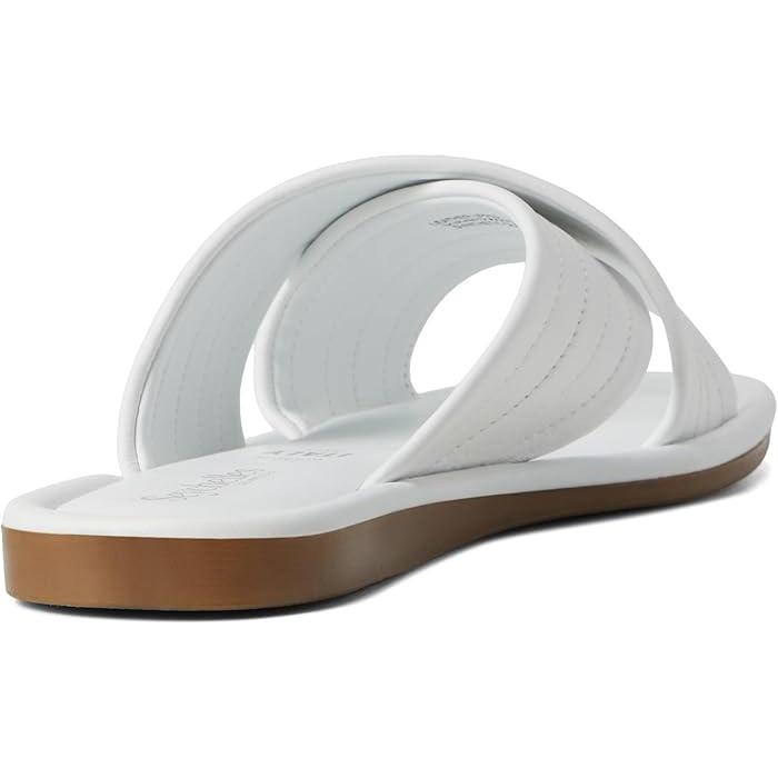 P最大18倍7/3限定 (取寄) セイシェル レディース カレイジ レザー