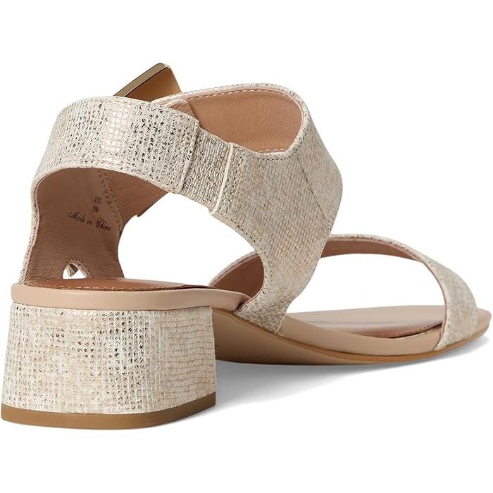 P最大17倍1/1限定 (取寄) ドナルドプリナー レディース ヴィクシィ