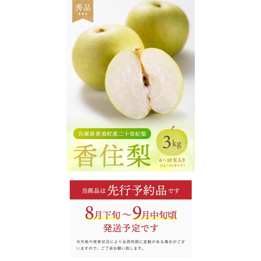 【予約】 香住梨 二十世紀梨 秀品 3kg 贈答向け （2L〜5L:6〜10玉） ※8月末より順次発送予定 : たじまんま 地米屋 - 通販 - Yahoo!ショッピング