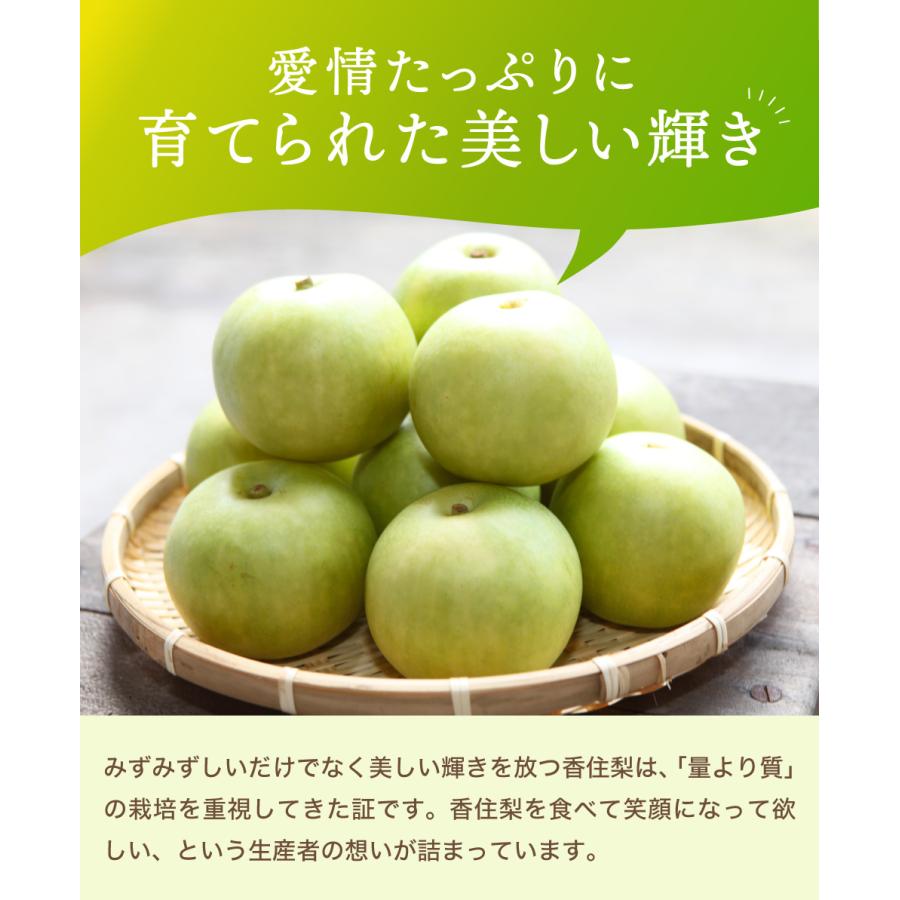 【予約】 香住梨 二十世紀梨 秀品 3kg 贈答向け （2L〜5L:6〜10玉） ※8月末より順次発送予定 : たじまんま 地米屋 - 通販 - Yahoo!ショッピング