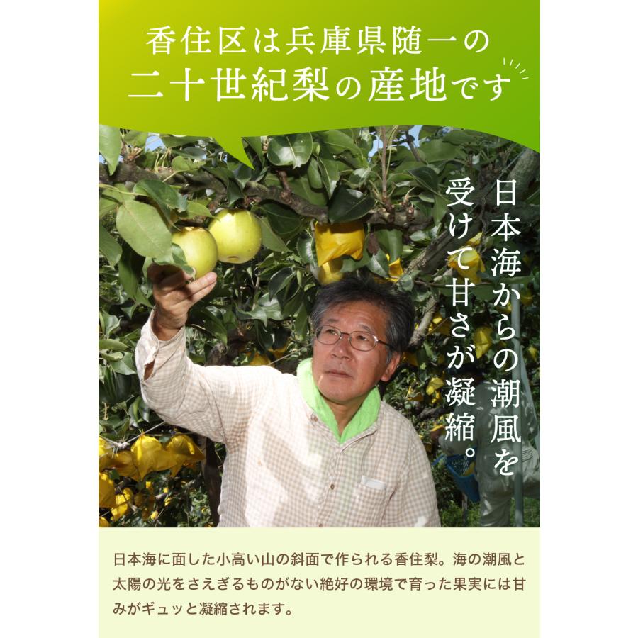 【予約】 香住梨 二十世紀 優品 3kg ご家庭用 （2L〜5L:6〜10玉） ※8月末より順次発送予定 : たじまんま 地米屋 - 通販 - Yahoo!ショッピング