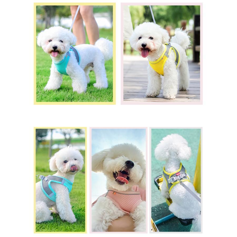 犬 猫 ハーネス 脱げない 犬用 おしゃれ 小型犬 子犬 子猫 反射板 ハーネスリード リード付ハーネス でらくらく散歩 犬猫兼用 :yicd1-10001749:jikuya-store ...