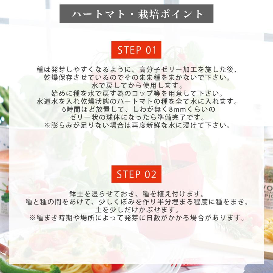 トマト ミニトマト Heartomato ハートマト 栽培セット かわいい 栽培 簡単 野菜 食用 観葉植物インテリア 自由研究 癒し ...