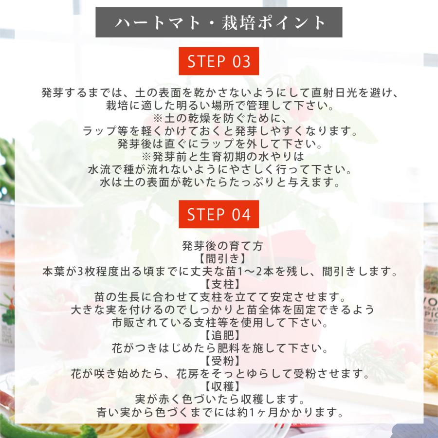 トマト ミニトマト Heartomato ハートマト 栽培セット かわいい 栽培 簡単 野菜 食用 観葉植物インテリア 自由研究 癒し ...