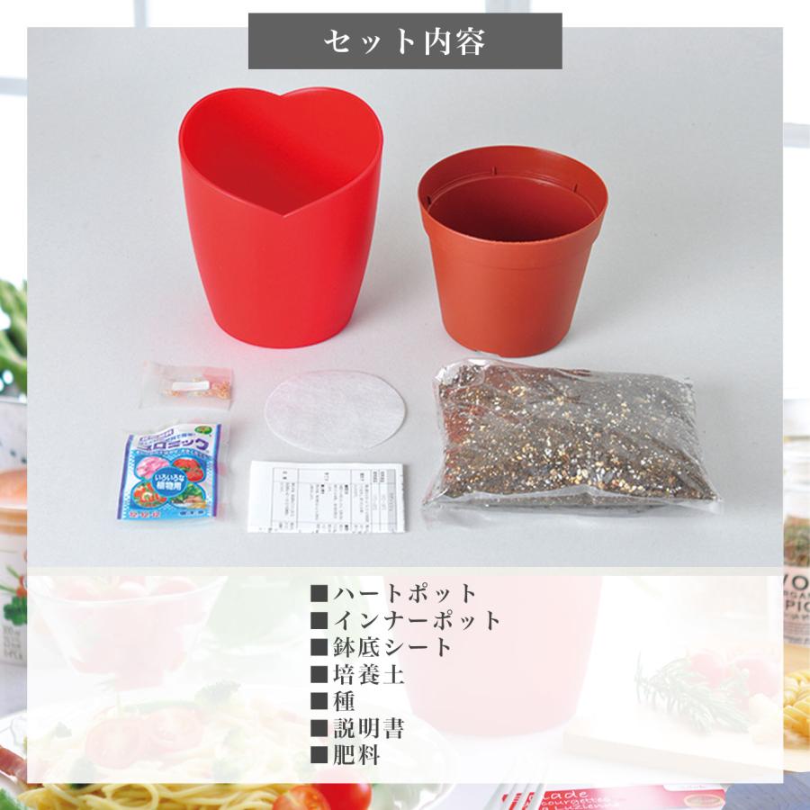 トマト ミニトマト Heartomato ハートマト 栽培セット かわいい 栽培 簡単 野菜 食用 観葉植物インテリア 自由研究 癒し ...