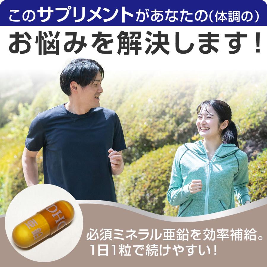 DHC 亜鉛 サプリ 30日分 まとめ買い割引 1袋 2袋 3袋 5袋セット 国産 日本製 サプリメント 栄養機能 健康食品 ミネラル 美肌 ダイエット 味覚 疲労 : 自由が丘ストア本店 ...