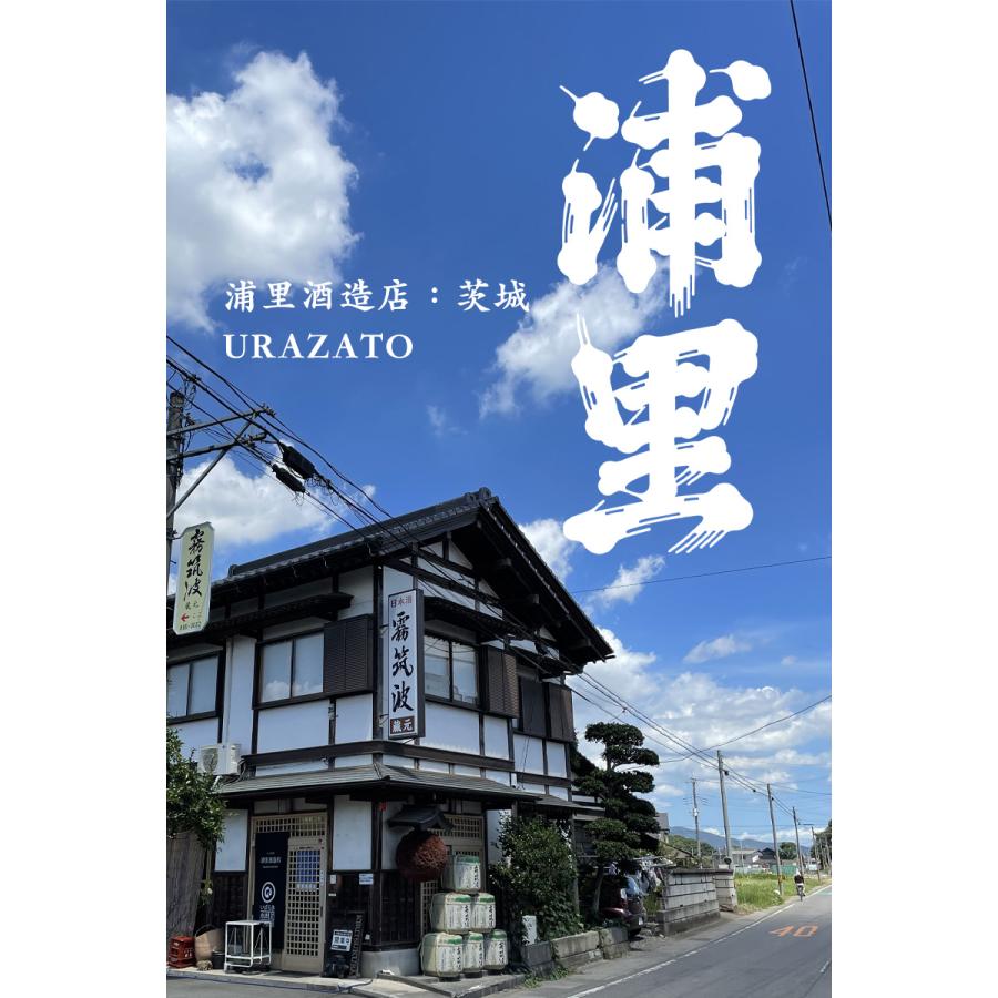 浦里 うらざと 純米吟醸 生もと 五百万石 720ml 日本酒 浦里酒造店 茨城県 特約店 【クール便】 : urazato-jungin-kimo-720 : 三重の地酒専門酒屋べんのや ...