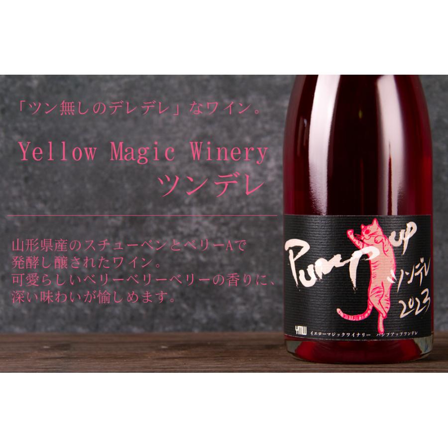 イエローマジックワイナリー YellowMagicWinery Pump up ツンデレ 2023 750ml 【Yellow magic winery：山形】【※夏季のみクール便推奨 ...