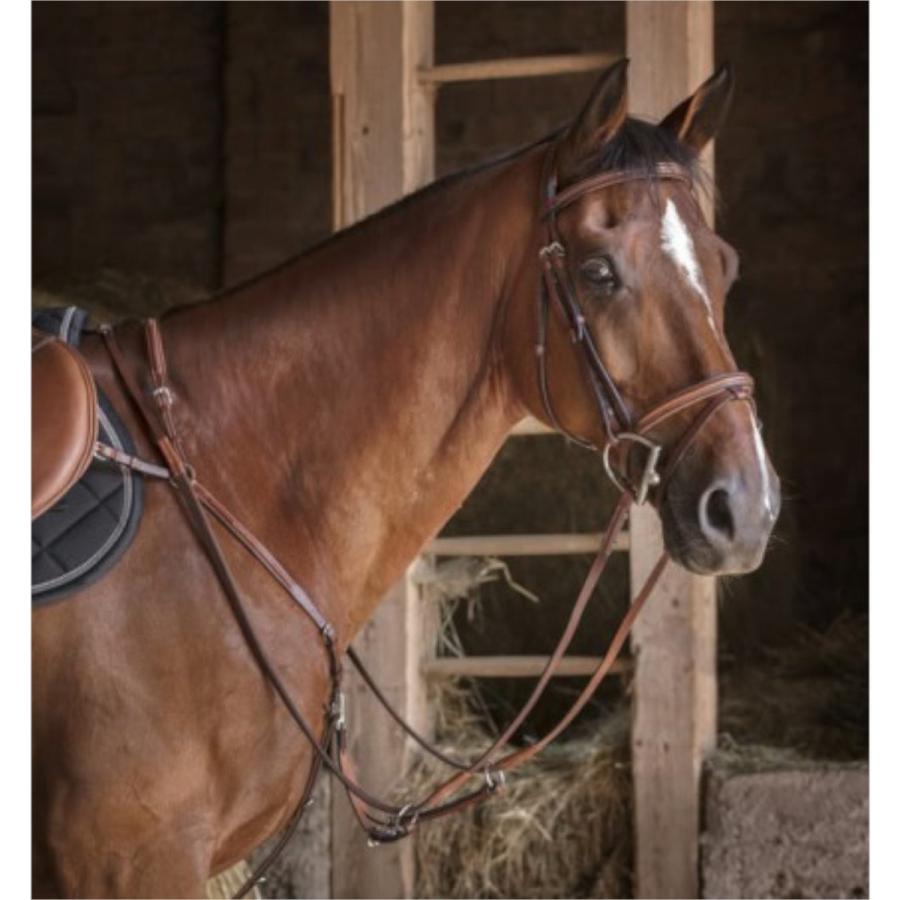 乗馬 手綱 胸ガイ EKKIA エリック トーマス ハイブリッド 乗馬用品 馬具 : 乗馬用品専門店ジョセス ヤフー店 - 通販 ...