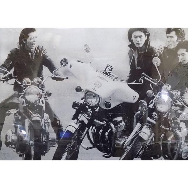 CAROL ヤッコカウル : jokers-store - 通販 - Yahoo!ショッピング