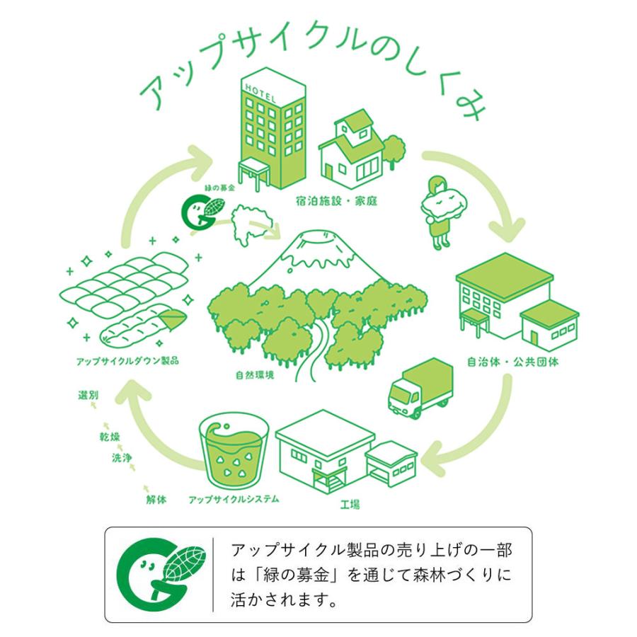 ヌードクッション クッション 中身 40×40 40角 アップサイクルフェザー 0.7kg入 日本製 fabrizm 中材 中綿 背当て 緑の募金 :1102:クッション生活 made in ...