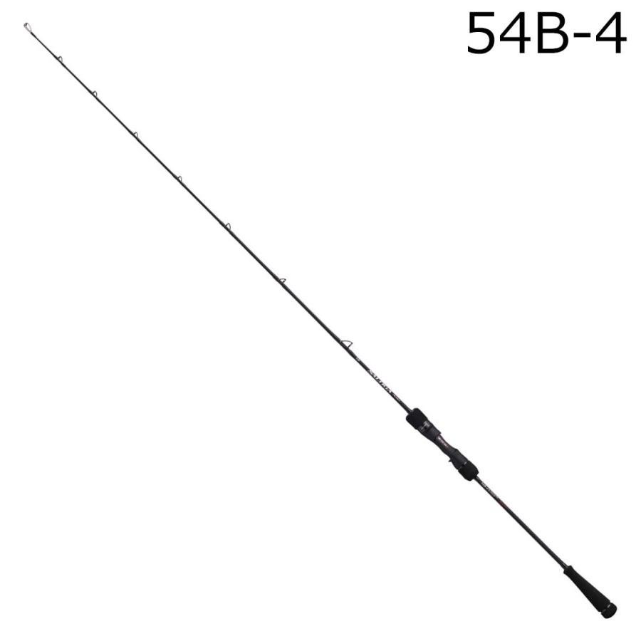 DAIWA（ダイワ） 25 ソルティガ J レブリミット 54B-4 ／お届け：1〜2