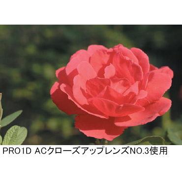 ケンコー PRO1D ACクローズアップレンズ No.3 62mm PRO1デジタルPX3 62S 返品種別A : Joshin web - 通販 - Yahoo!ショッピング