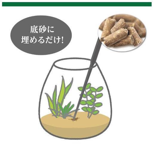 GEX Megreen 水草を育てる底砂栄養ペレット 10g ジェックス 返品種別A : Joshin web - 通販 - Yahoo!ショッピング