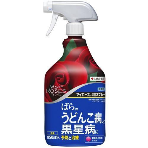 KINCHO マイローズ殺菌スプレー 950ml KINCHO園芸 返品種別A : Joshin web - 通販 - Yahoo!ショッピング