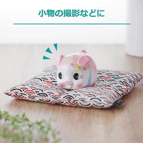 ハクバ カメラ 座・ぶとん(青海波) HAKUBA KZB-21-WVRD 返品種別A :4977187304275-34-3364 ...