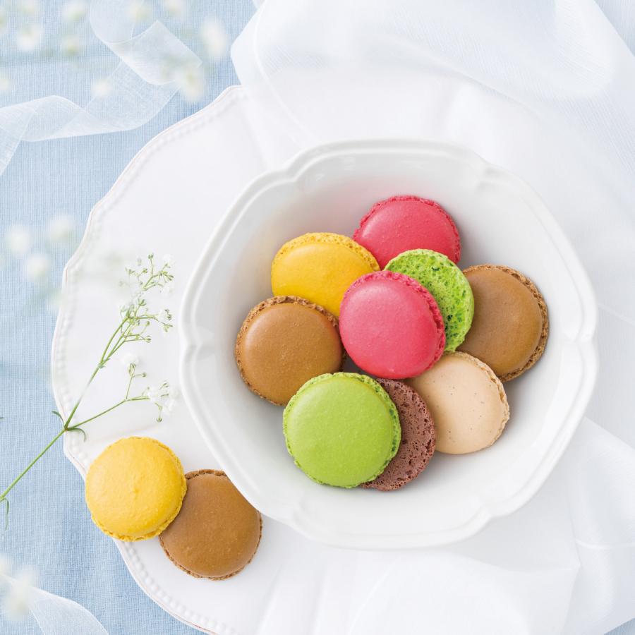 ダロワイヨこだわりの マカロンラスク(30枚入) MRU30 7654-026 : ジョイフルサンコー - 通販 - Yahoo!ショッピング