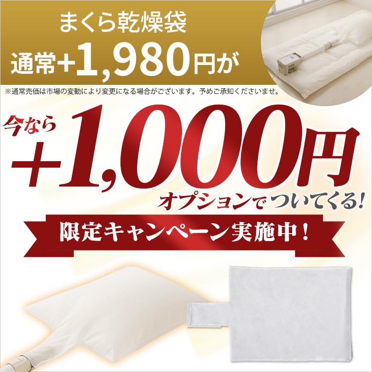 ふとん乾燥機 布団乾燥機 衣類乾燥 くつ乾燥 乾燥 除湿 あたため ダニ カビ タイマー カラリエ カラリエColors カラーズ FK-RC3 アイリス アイリスオーヤマ :m200114 ...