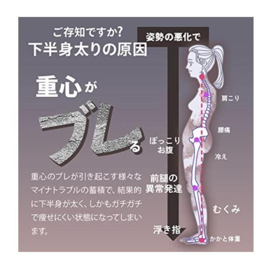 当日発送 Pitsole pitsole ピットソール 中敷き 美脚 姿勢サポート 美姿勢インソール 男女兼用 正規品 : JOYSTYLE - 通販 - Yahoo!ショッピング