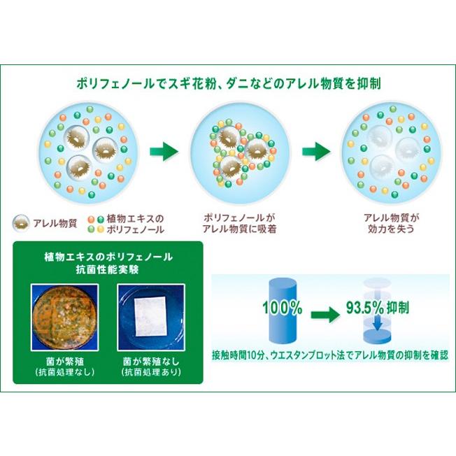 エアコンフィルター レガシィ スバル車 MANN FILTER FP 2131 ウイルス 抗菌 脱臭 三層構造 :ca-fp-2131-02:フィルタ&ワイパー ジェイピット - 通販 ...