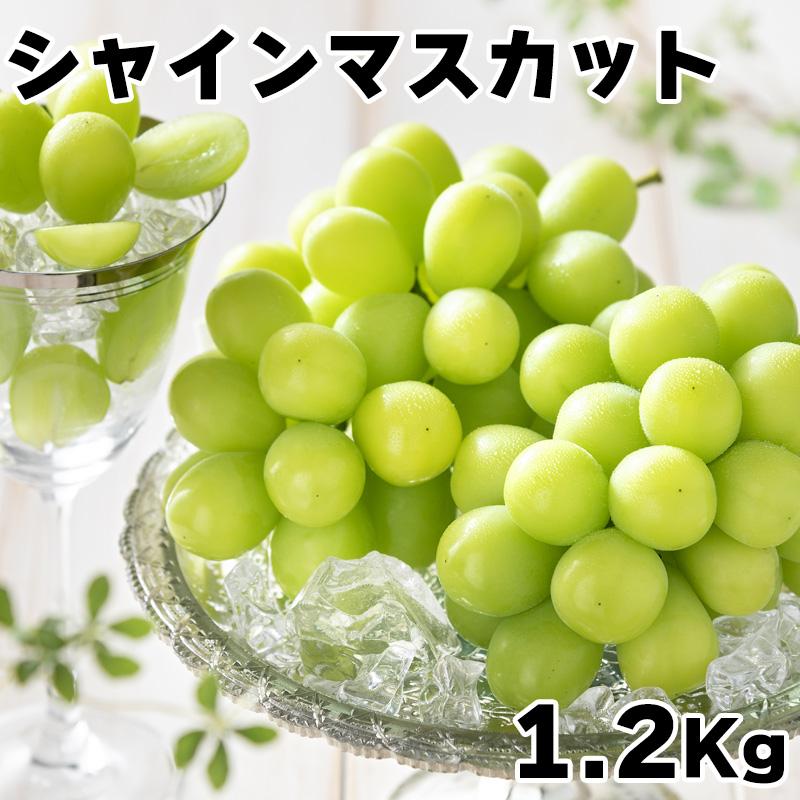 ぶどう シャインマスカット2房（1．2kg） : 郵便局物販サービスYahoo!店 - 通販 - Yahoo!ショッピング
