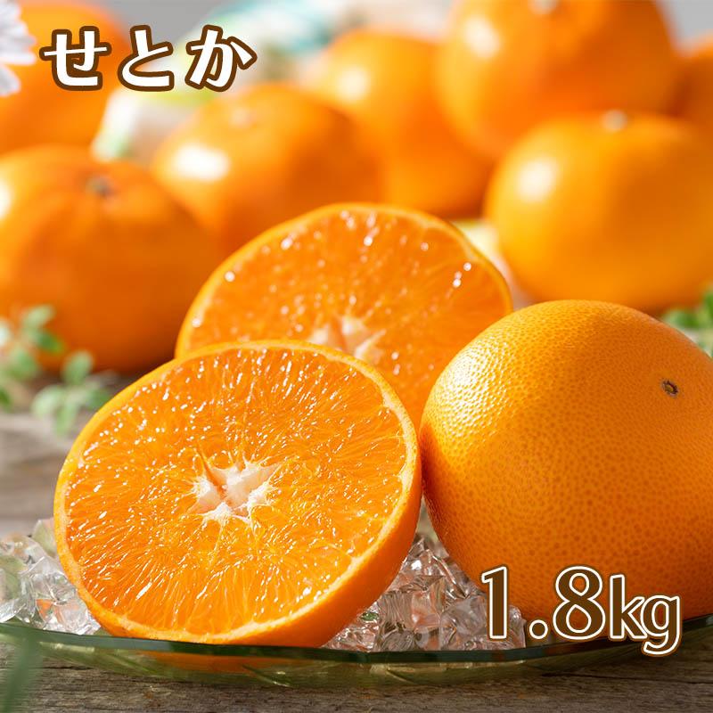 せとか 1．8kg 送料込み : 郵便局物販サービスYahoo!店 - 通販 - Yahoo!ショッピング