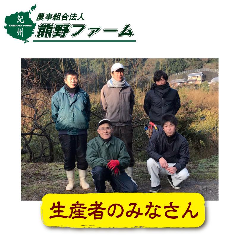 熊野ファーム 紀州南高梅「しそかつお」梅干 1kg 2箱 : 6097716917 : 郵便局物販サービスYahoo!店 - 通販 - Yahoo!ショッピング