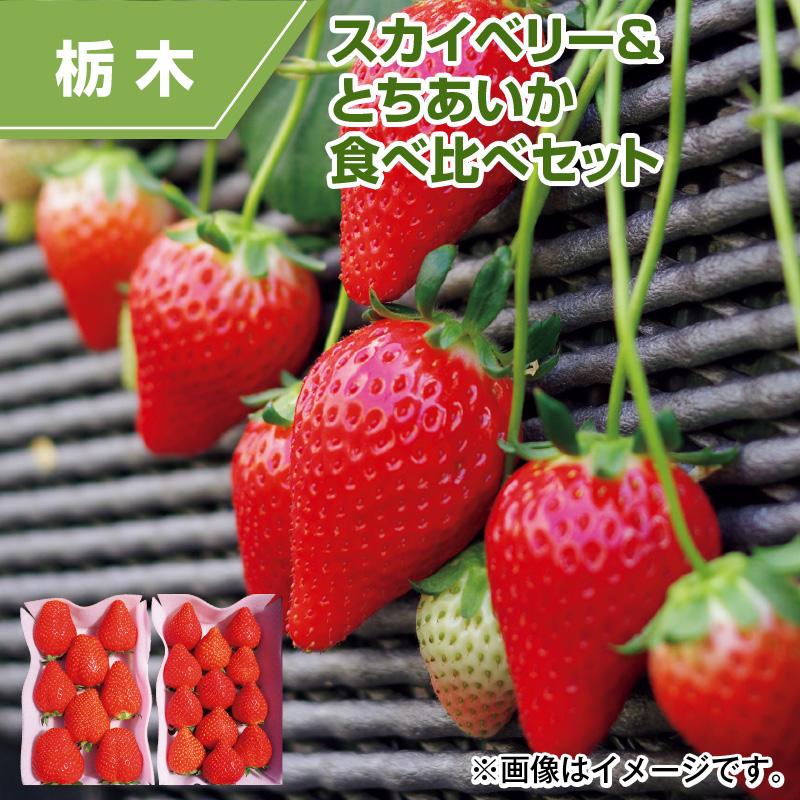 スカイベリー＆とちあいか 食べ比べセット イチゴ いちご 送料込み 各280g : 郵便局物販サービスYahoo!店 - 通販 - Yahoo!ショッピング