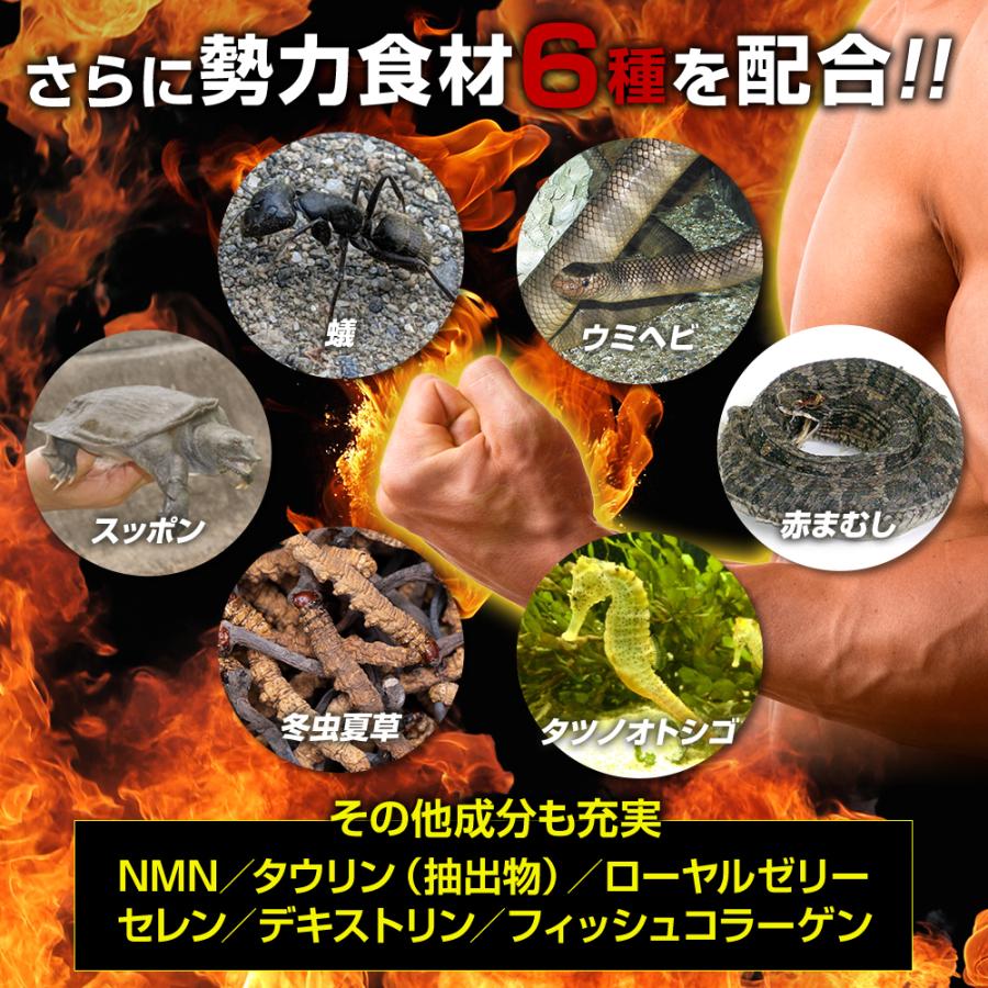 日本サプリメントフーズ (定期)SIZEUP-α (サイズアップα) HARD MAX 小島みなみ絶賛 メンズ 自信増大 サプリ 亜鉛 シトルリン アルギニン 精力剤 ではない 活力 1袋 ...