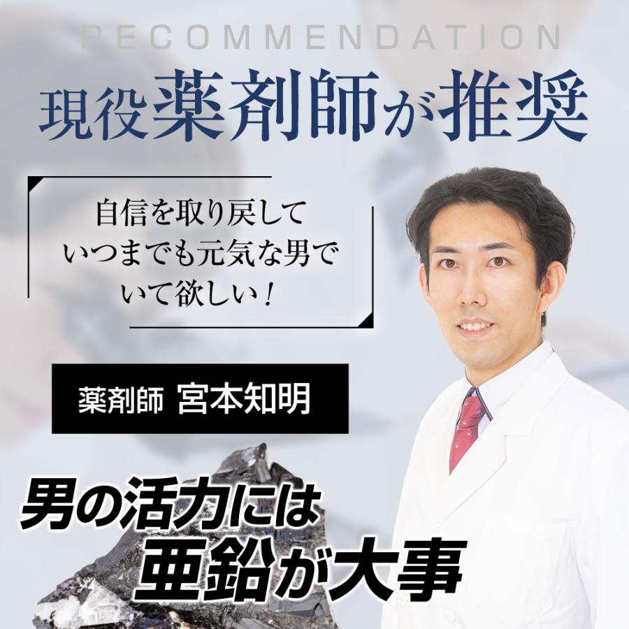 日本サプリメントフーズ (定期)SIZEUP-α (サイズアップα) HARD MAX 小島みなみ絶賛 メンズ 自信増大 サプリ 亜鉛 シトルリン アルギニン 精力剤 ではない 活力 1袋 ...