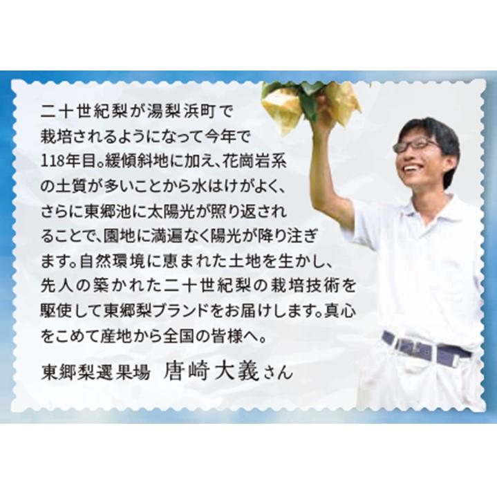 梨 サマーフルーツ お取り寄せ ご当地 JA鳥取中央/東郷梨選果場 特撰二十世紀梨 (2kg/3Lサイズ 6玉) 山陰特産品 Pay-TG-toku20-2K3L : JU米子高島屋 - 通販 ...