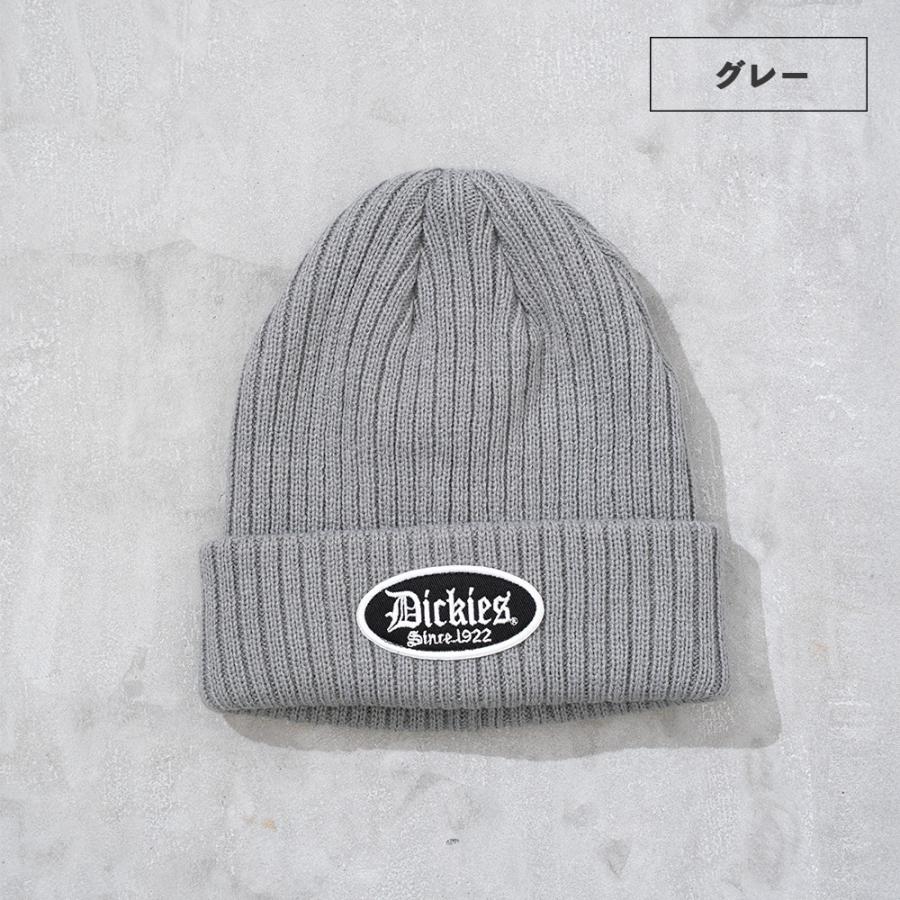 Dickies（ディッキーズ） 【Dickies】DK EX BLOCK FONT WAPPEN KNIT WATCH/全5色 ...