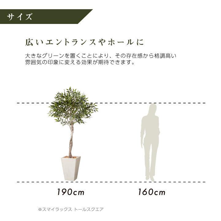 フェイクグリーン鉢セット 大型「スマイラックス×Tall Square w フェイクグリーン鉢セット 大型「スマイラックス×Tall Square w