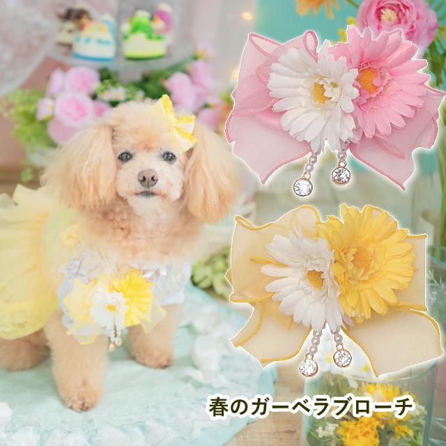 CanNana きゃんナナ 春のガーベラブローチ ピン留め おしゃれ お花 ぶろーち ワンポイントフラワー : じゃんぐるぺっと - 通販 - Yahoo!ショッピング