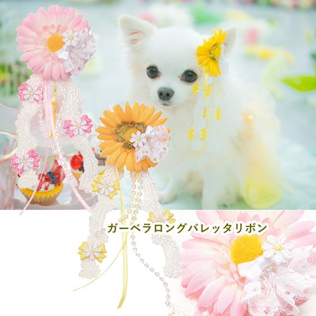 CanNana 犬 アクセ 【きゃんナナ】ガーベラロングバレッタリボン イエロー ヘアリボン 髪飾り ピンク フラワーアレンジ 花 : じゃんぐるぺっと - 通販 - Yahoo!ショッピング