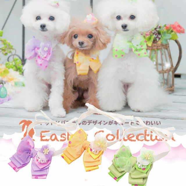 CanNana きゃんナナ 犬 猫 チョーカー ドットイースターネックチョーカー キャンナナ CANNANA お正月 ハッピーニューイヤー アクセサリー ちょーかー : じゃんぐるぺっと ...