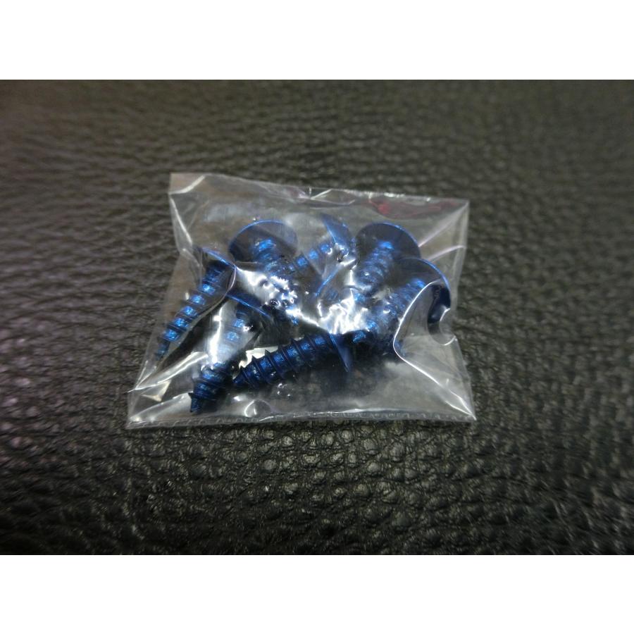KITACO 未使用 キタコ アルミタッピングビス 十字穴付 トラス 1種 5×16 ブルー 品番: 0900-056-08007 管理No ...