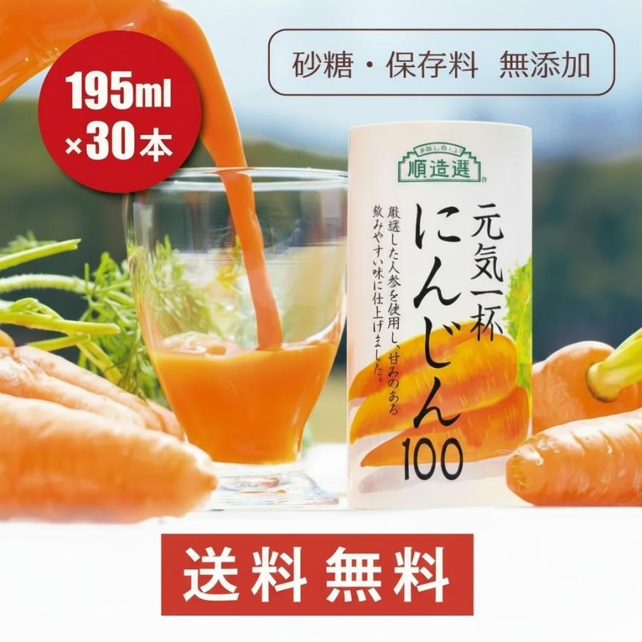 順造選 マルカイ にんじんジュース 元気一杯 にんじん100％ 195ml×30本 人参ジュース 公式メーカー直送 砂糖不使用 果汁100％ （紙容器）紙パック : 順造選ショップ - 通販 ...