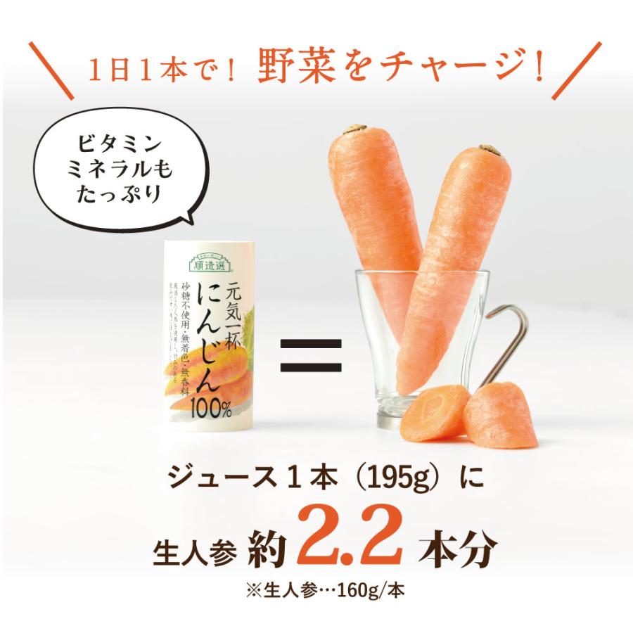 順造選 マルカイ にんじんジュース 元気一杯 にんじん100％ 195ml×30本 人参ジュース 公式メーカー直送 砂糖不使用 果汁100％ （紙容器）紙パック : 順造選ショップ - 通販 ...