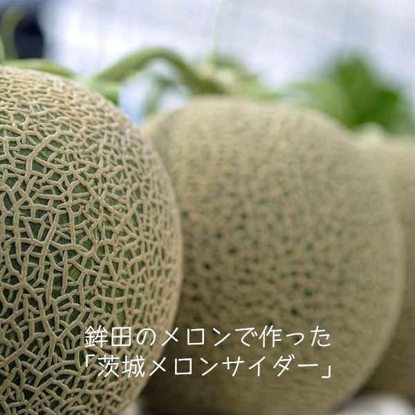 茨城 メロンサイダー 鉾田市産メロン使用 ご当地サイダー 微炭酸 茨城 メロンサイダー 鉾田市産メロン使用 ご当地サイダー 微炭酸