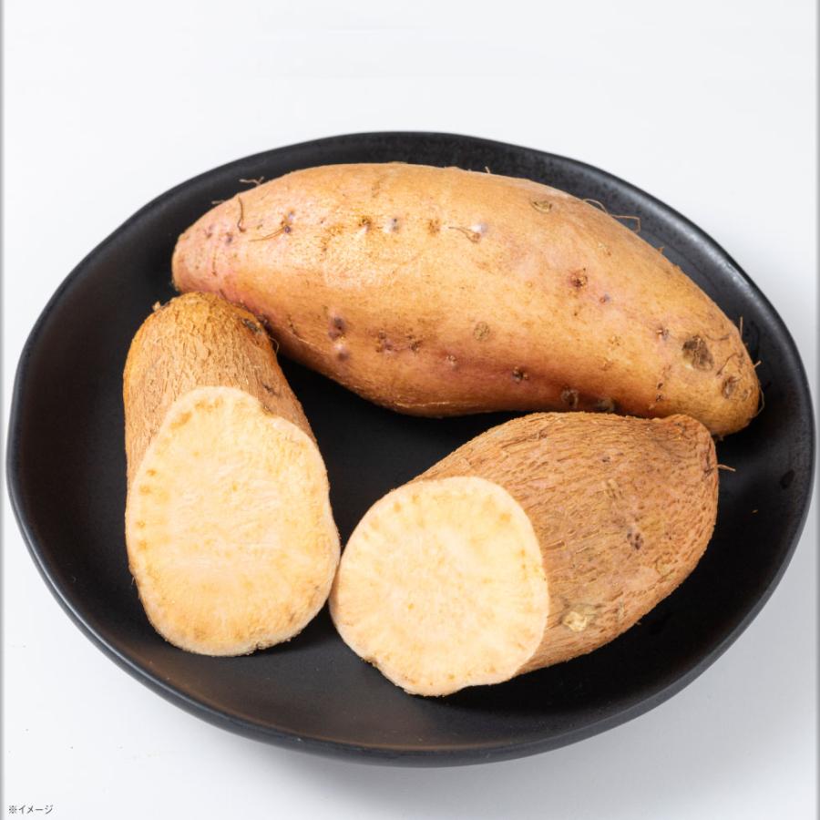 (ポイント2倍) さつまいも マロンゴールド JAいぶすき 鹿児島産 生芋 S〜L 3kg 1箱 希少 栗こがね 送料無料 サツマイモ : 情熱畑 Yahoo!店 - 通販 - Yahoo ...