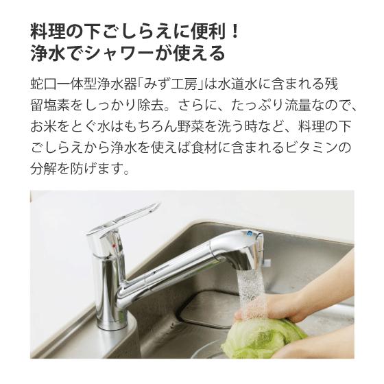 タカギ 浄水器一体型 浄水器内蔵型 シングルシャワー混合栓 水栓 タカギ 浄水器一体型 浄水器内蔵型 シングルシャワー混合栓 水栓