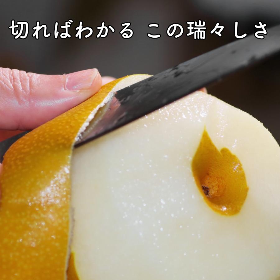 【9月上旬より発送予定】豊水 梨 なし 送料無料 3kg 5〜8玉 赤梨 化粧箱入り 御中元 お盆 秋分の日 敬老の日 お礼 お祝い プレゼント : ケイ・コンソートヤフー店 - 通販 ...